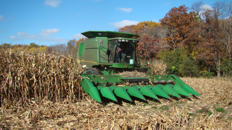 About - Wisconsin Corn