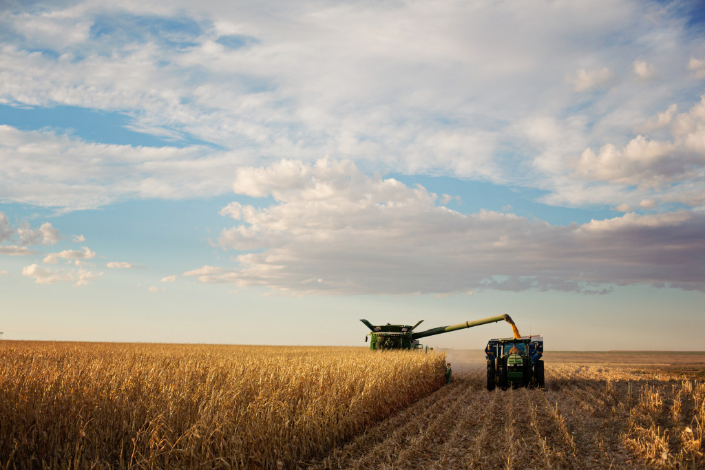 About the Wisconsin Corn Growers Association (WGCA)