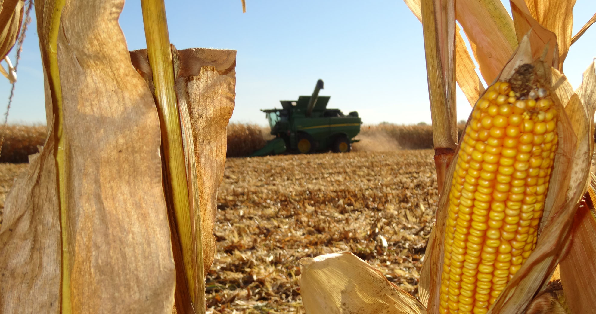 FSA Makes Good Change to ARC-CO Program - Wisconsin Corn
