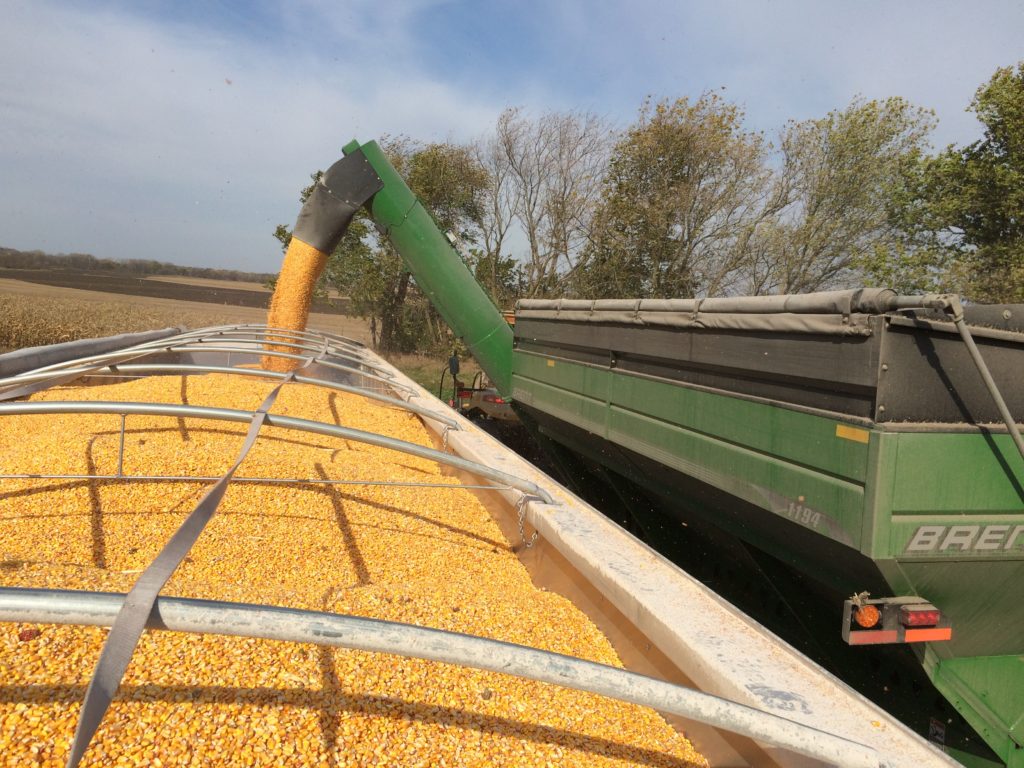 Meet The Winners Of The 2016 Corn Yield Contest - Wisconsin Corn