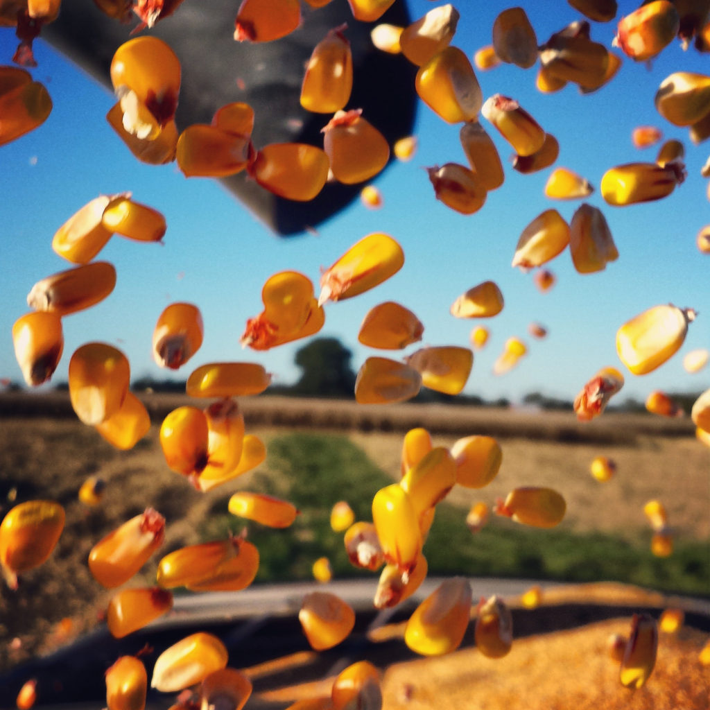 Entries now being accepted for Wisconsin Corn Growers Association’s ...