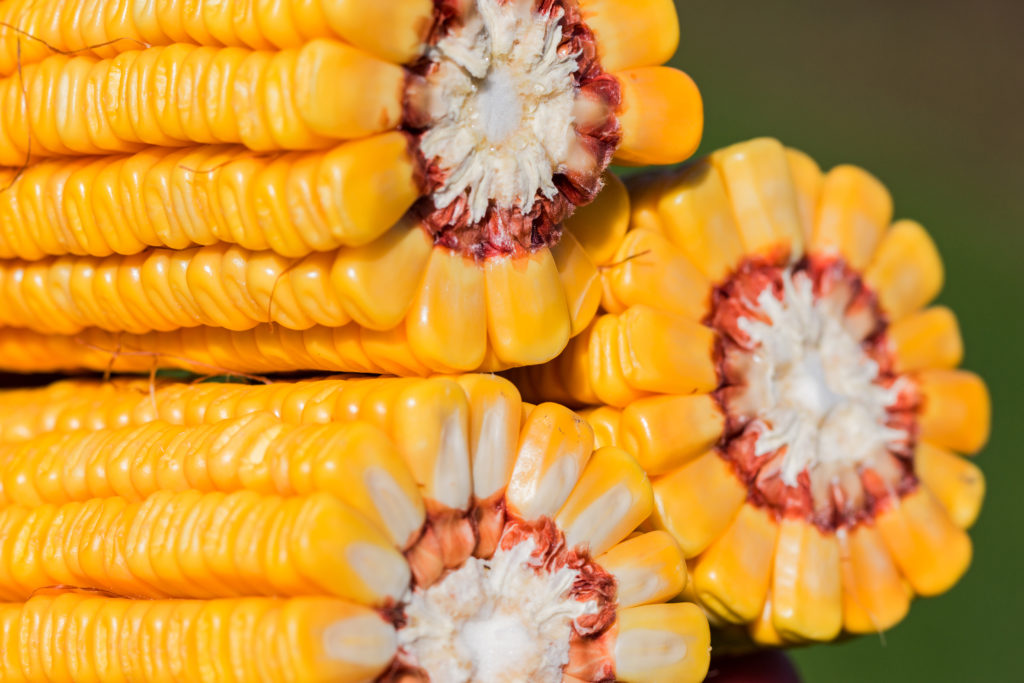 Wisconsin Corn Growers Association statement on NFL Super Bowl ad ...