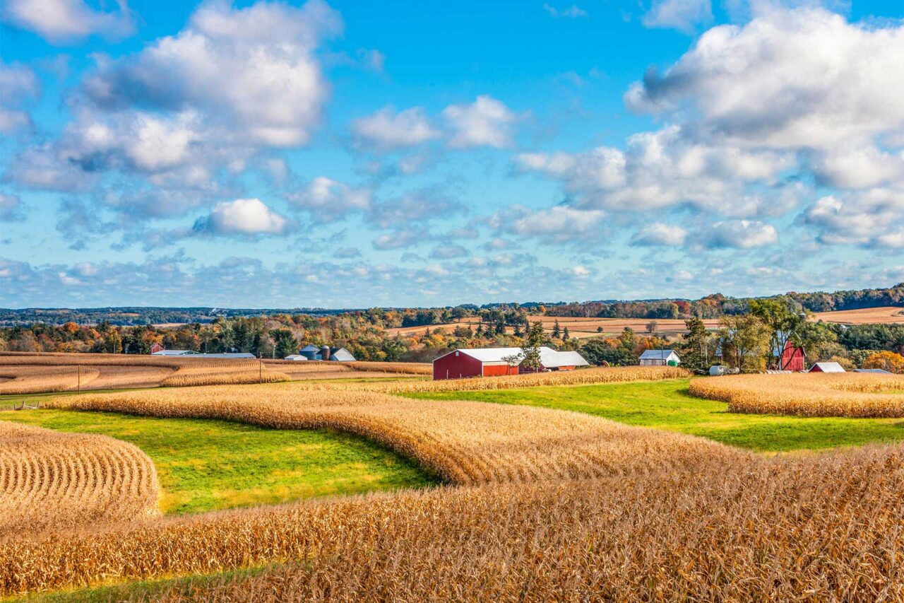 Corn Fun Facts | Wisconsin Corn (WCGA)