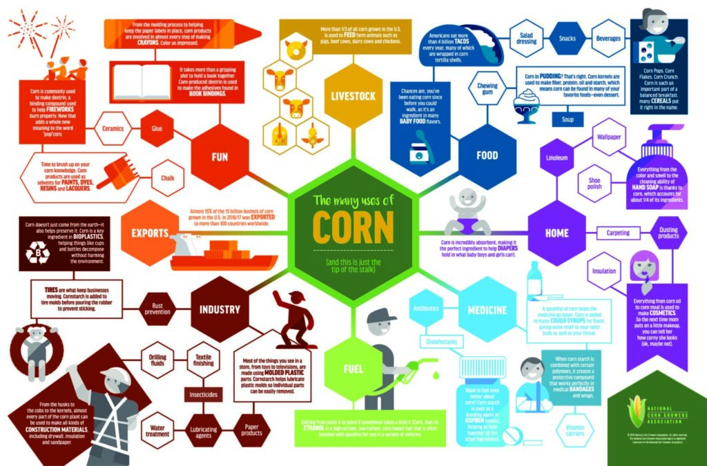 Corn Fun Facts | Wisconsin Corn (WCGA)