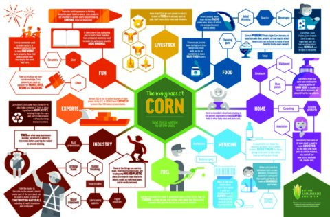 Corn Fun Facts | Wisconsin Corn (WCGA)